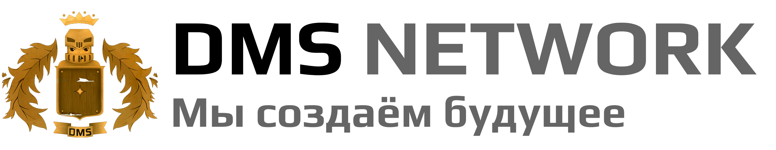 Категории и разделы - DMS NETWORK